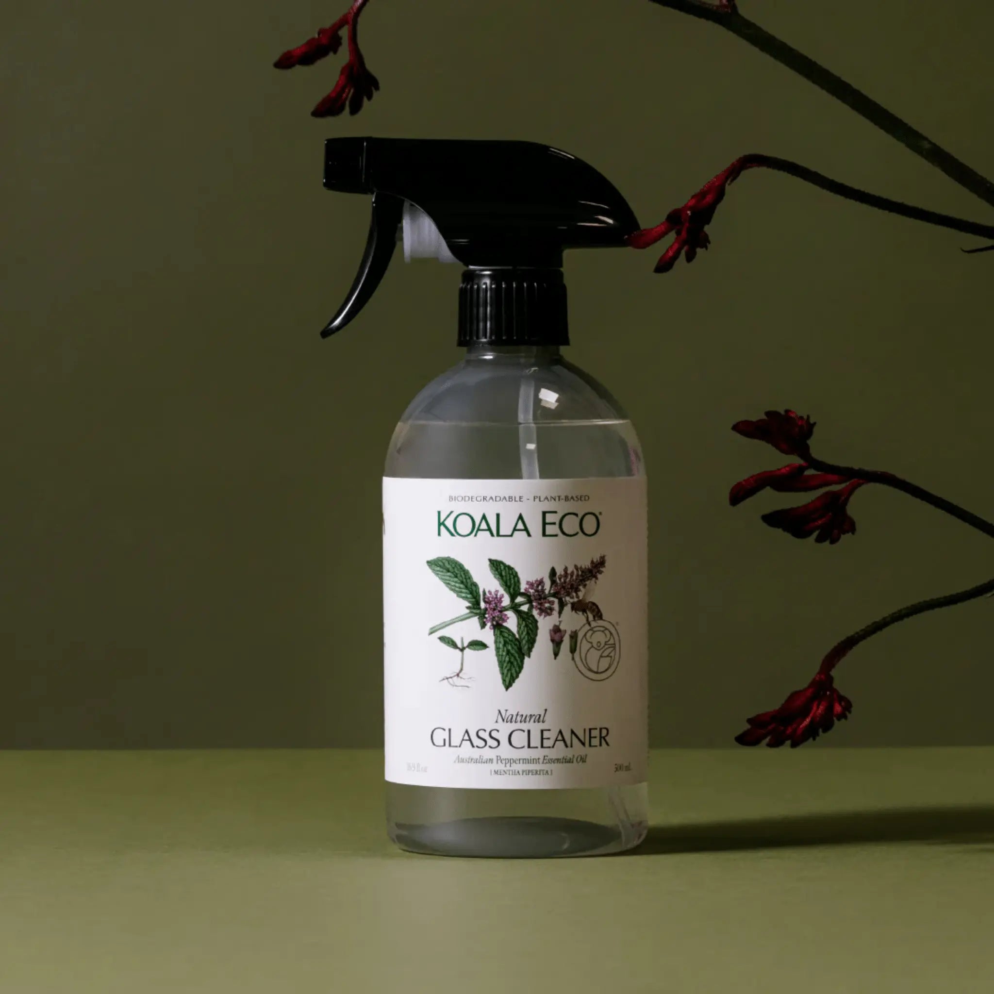 Koala Eco Cleaning Products | Natural & Non-Toxic Australia